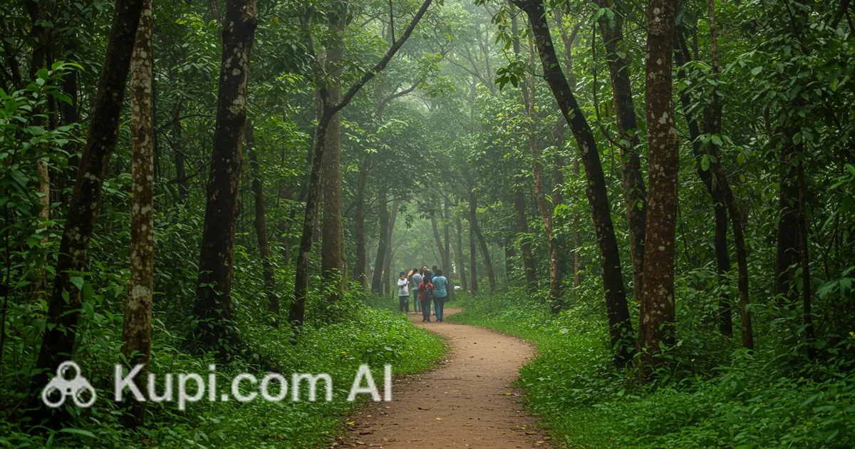 Jamboree Park Guide: Best Activities, Tips & Tickets