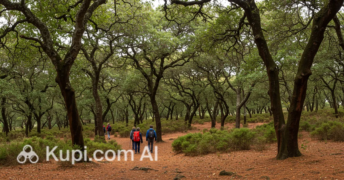 Explore Mata Nacional da Machada: Nature Escape in Portugal